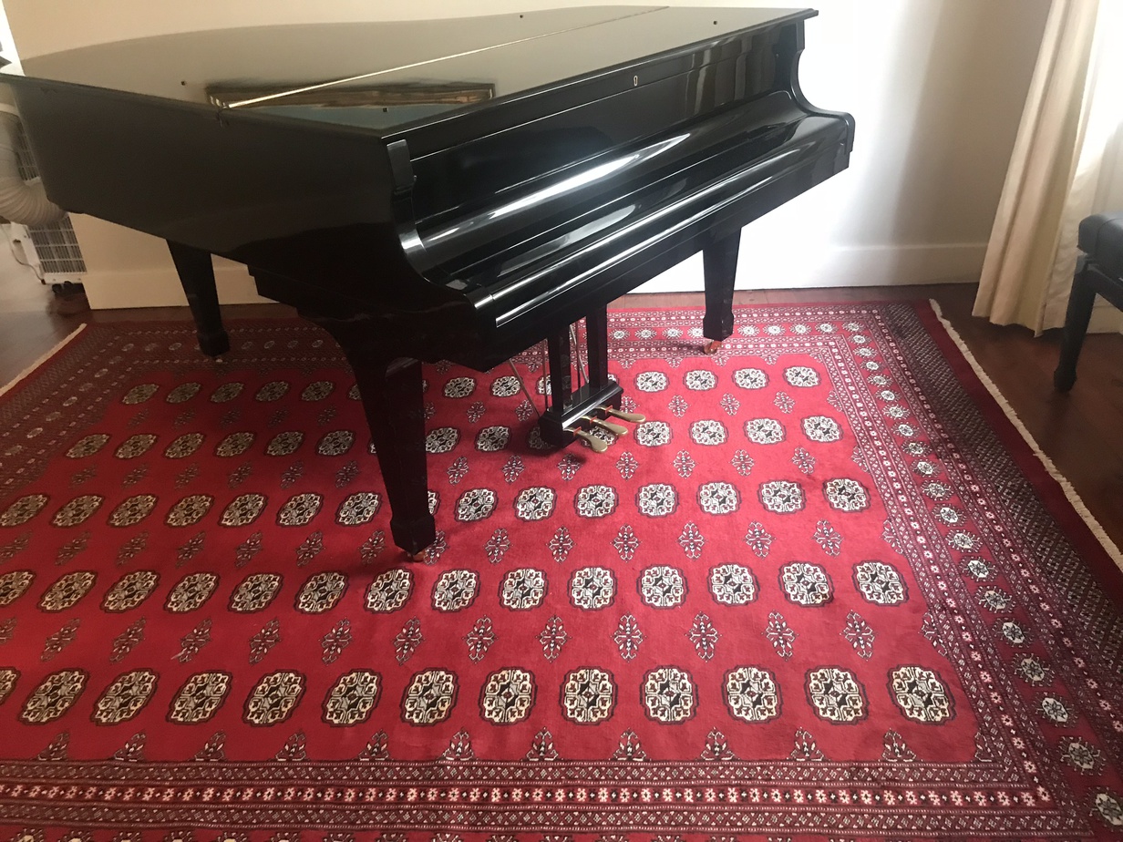 Sarabi's Fine Rug Collections - 2023 Rug collection